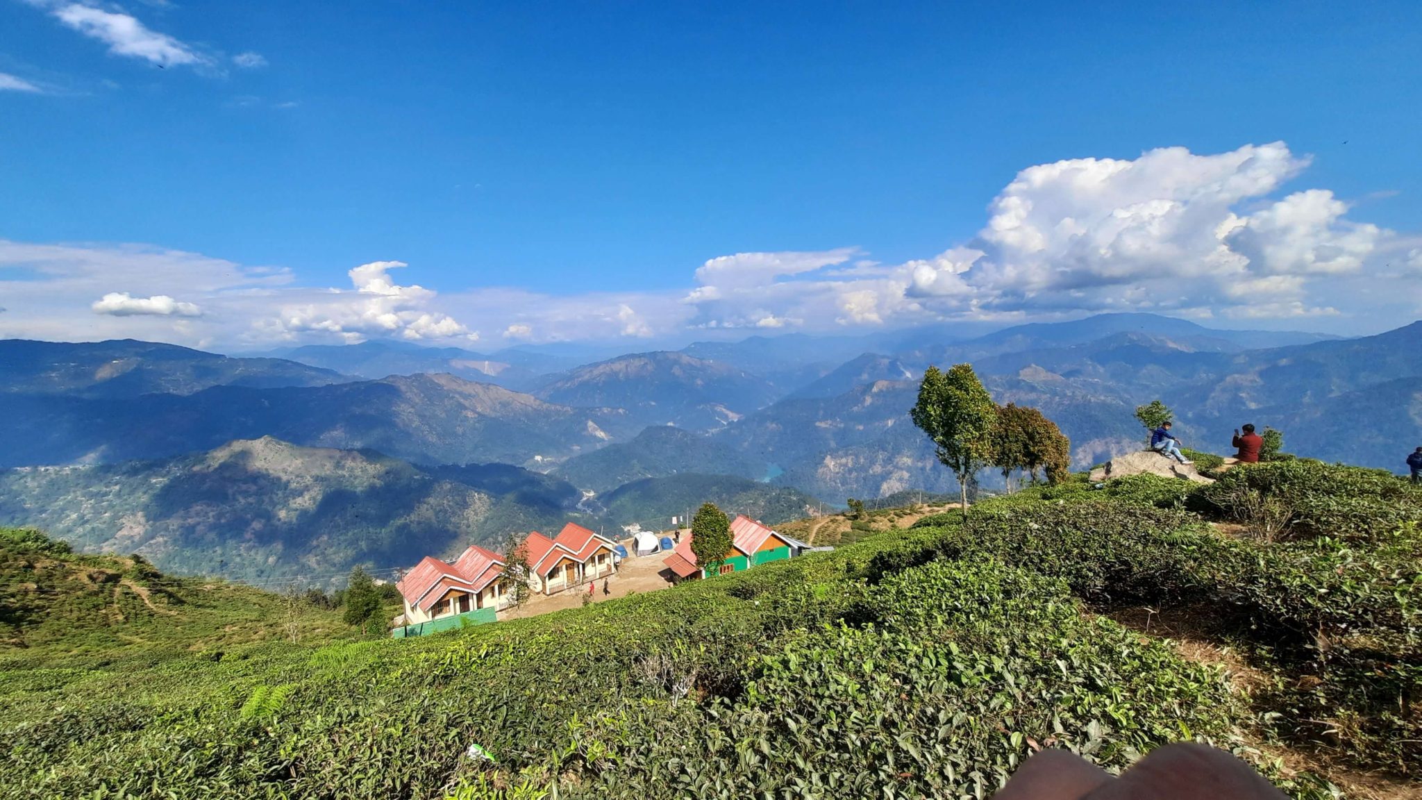 Latpanchar Birdwatching Guide and Latpanchar Homestay