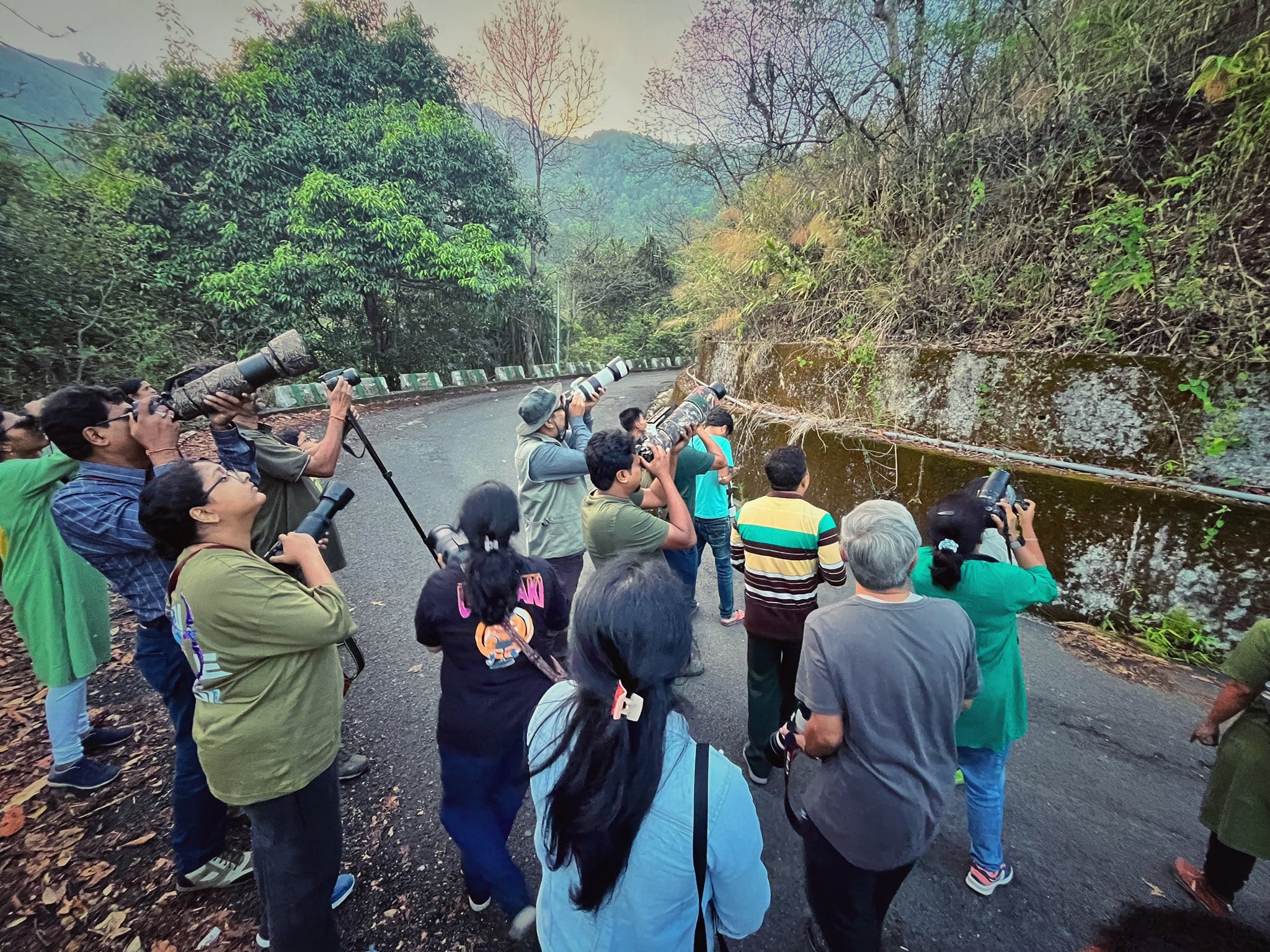 Latpanchar Birdwatching Trip 2025 - WildIndiaTravels